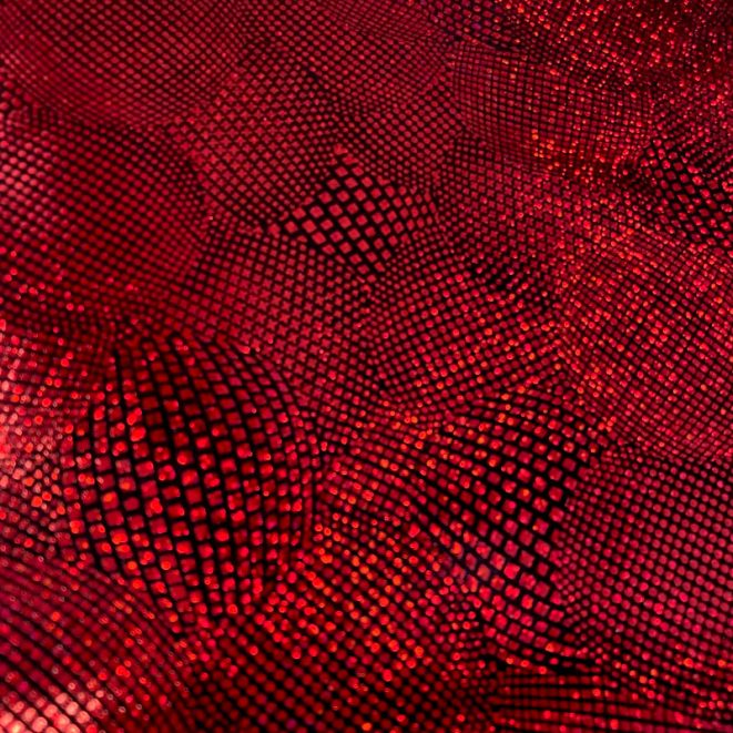 Retro Shimmer Spandex Red Hologram – Shine Trimmings & Fabrics